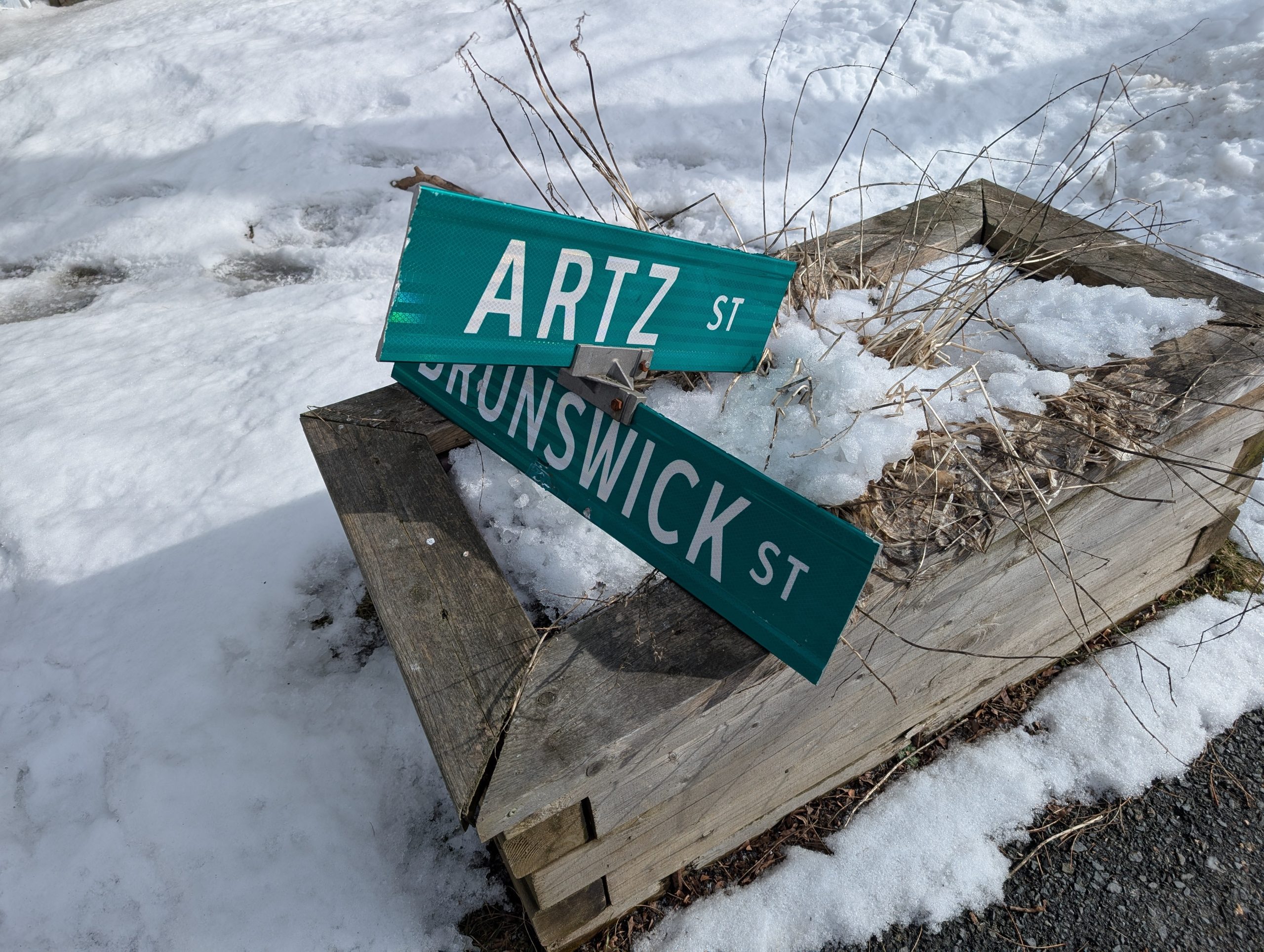 PXL_20250208_150221651 – Apollo Lemmon